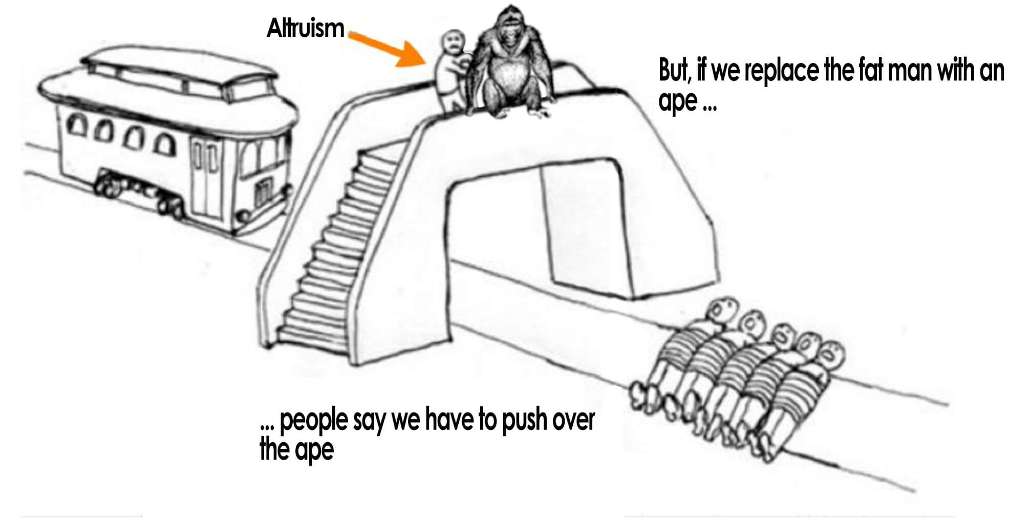 Fifth: “Thou shalt not kill” – The dark side of faith – Open Minds ...