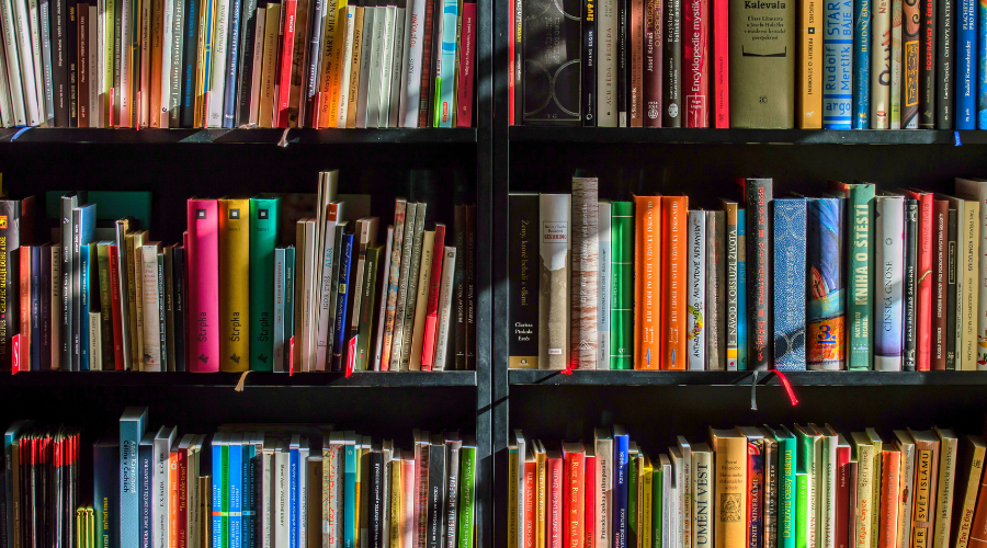 The power of lateral reading | Open Minds Foundation